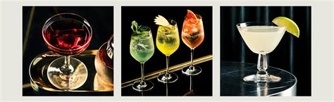 Cocktail Codex Fundamentals Formulas Evolutions A Cocktail Recipe