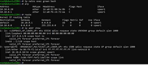 Real Time Packet Capture Of Linux Bridge Ping Namespaces And Display
