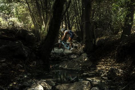 Portfolio Lab Studio