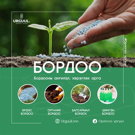 Urguul Mn 🌎Ургамлын амьдралд нэгийг нь нөгөөгөөр нь орлуулж болохгүй 5 хүчин зүйл байдгийн нэг