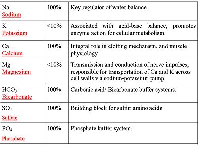 GENERAL LAB VALUES ELECTROLYTES IN HUMAN BODY LESSON 138 FREE ONLINE MEDICAL TRANSCRIPTION COURSE