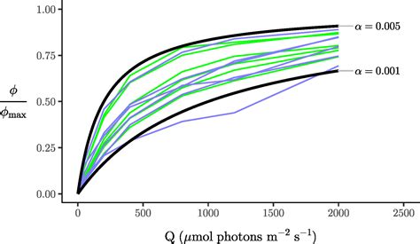 The Role Of Spatial Averaging Scale In Leaf‐to‐canopy Scaling Of Non‐linear Processes In