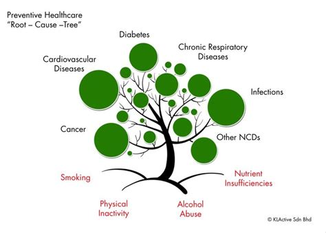 A Diagram Representing Preventive Healthcare Root Cause Tree Download Scientific Diagram