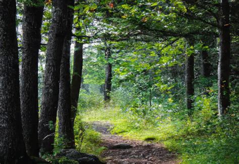 The Easy Path Leads To The Hard Life Meaning Of Number
