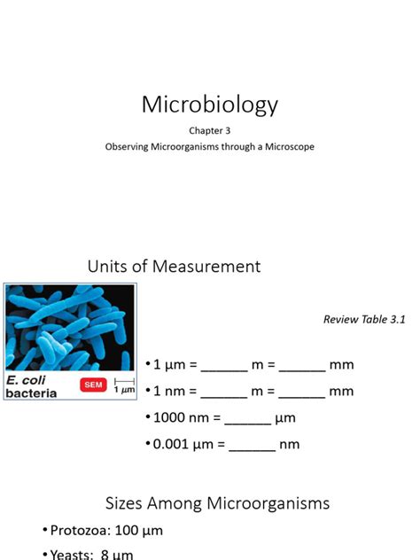 Lecture 3 Observing Microorganisms Through A Microscope Pdf