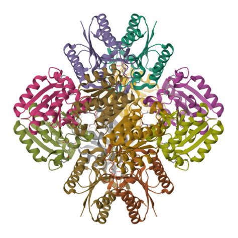 Rcsb Pdb 3n76 Crystal Structure Of 3 Dehydroquinate Dehydratase From Mycobacterium