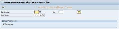 F N SAP Tcode Balance Notification Mass Run Transaction Code