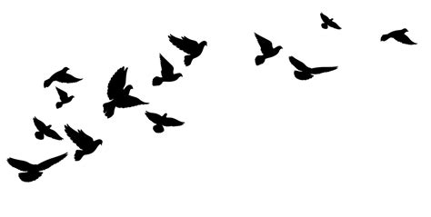 A Flying Flock Of Birds Pigeons Black Silhouettes Vector
