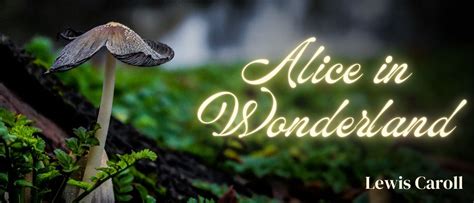 The Mock Turtles Story Hackernoon