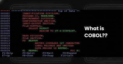 What Is Cobol And Who Still Uses It