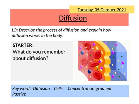 Aqa Diffusion And Factors Affecting Rate Teaching Resources