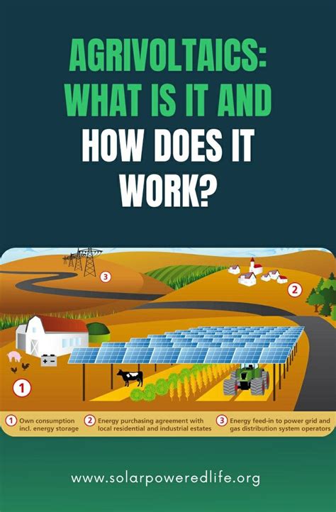 Agrivoltaics What Is It And How Does It Work Energy Storage Power