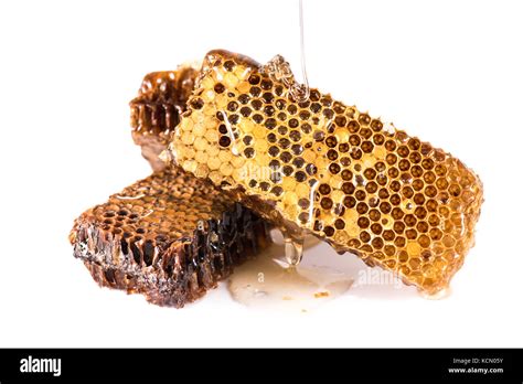 Honeycombs Cut Out Stock Images And Pictures Alamy