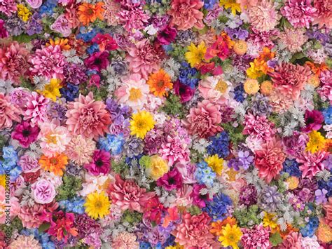 Poster Multi Colored Flower Wall Background Wall Art Ukposters