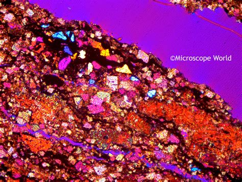 Microscope World Blog Polarizing Microscope Images