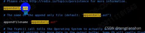 Redis安装make Prefix Redis Install Csdn博客