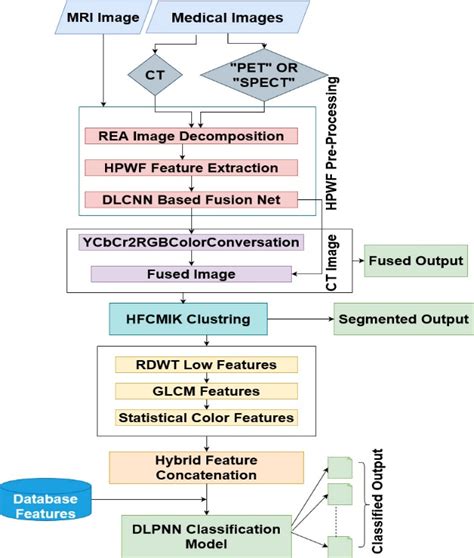 Segmentation And Classification Model For A Proposed Brain Tumor Fusion Download Scientific
