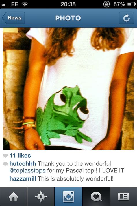 Pascal From Disneys Tangled Film Cutest Lizard Ever Made And Screenprinted By Toplass Tops