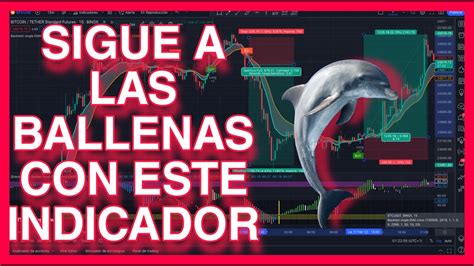 He Probado El Mejor Indicador De Tradingview 100 Veces Para Seguir A