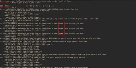 Bug Network Interface Link Status Judgement Did Not Match The Available Nics In Harvester