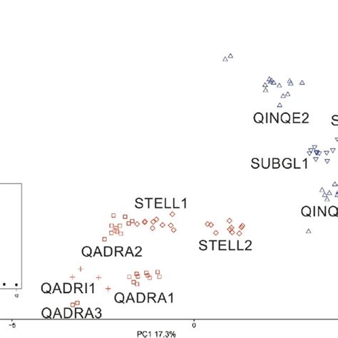 pca and k means clustering of issr data from hydrocotyle stella