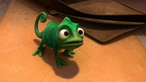 Pascal Reaction  On Imgur