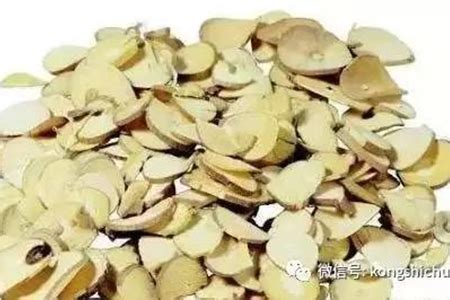 颈椎病久治不愈教你用树枝快速解决永远告别