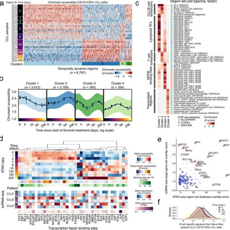Integrated Analysis Of Chromatin Accessibility And Gene Expression For