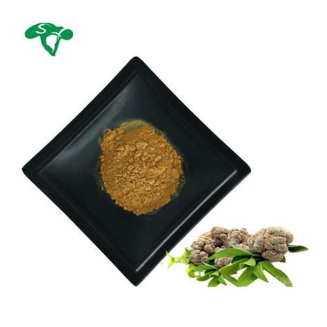 China Customized Panax Notoginseng Root Extract Manufacturers Suppliers