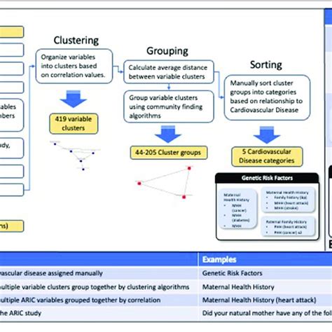 A Depicts The Correlation Filtering And Clustering Process Download Scientific Diagram
