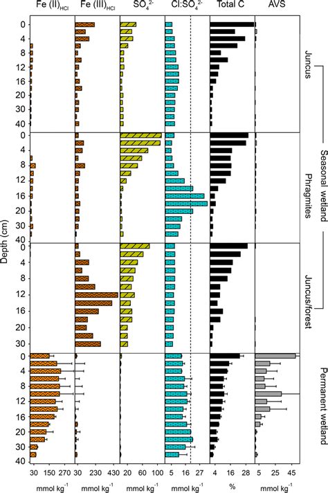 Soil Profiles Of The Permanent And Seasonal Wetland Sites Indicating