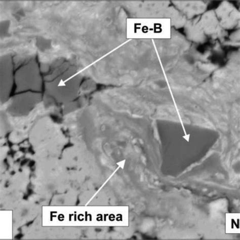 Sem Image Of A Cross Section Through A Particle Of The Powder Produced Download Scientific