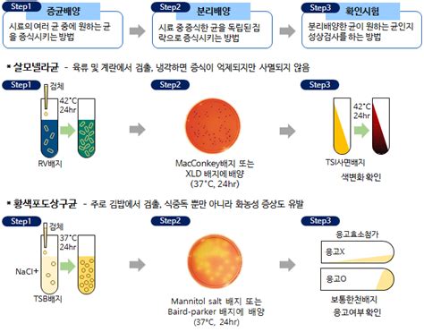 Nutritional Forms Of Microorganisms With Diagram