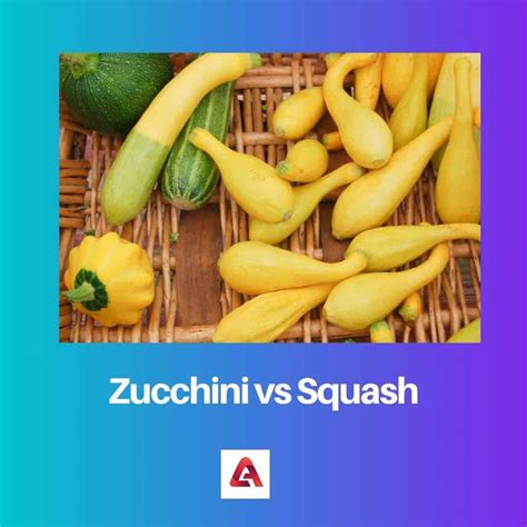 Zucchini Vs Squash Difference And Comparison