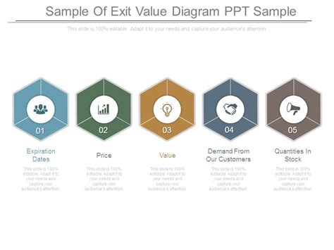 sample of exit value diagram ppt sample