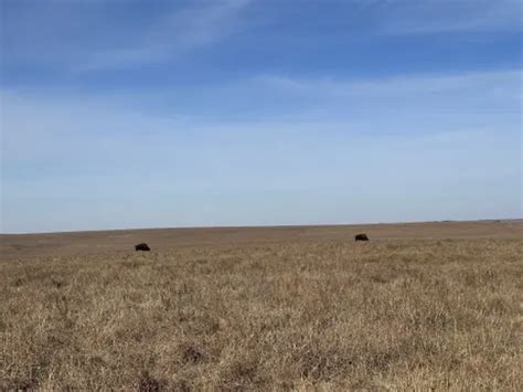 Best Long Trails In Tallgrass Prairie National Preserve Alltrails