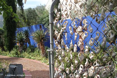 The Wonderful, Whimsical Garden of Henk Scholtz | Janet Davis Explores ...
