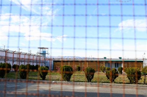 613 მსჯავრდადებულის შეწყალება და გამოხმაურება სოციალურ ქსელებში