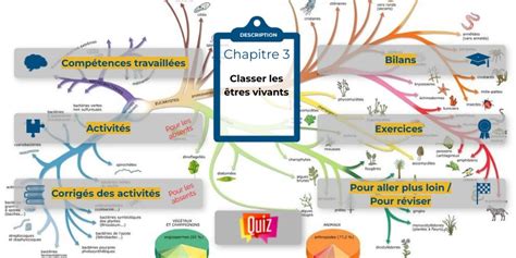 Chapitre 4 Classer Les êtres Vivants Genially Chapitre 4 Classer Les êtres Vivants Genially