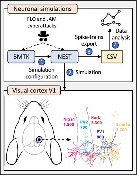 Graphical Representation Of The Solution Proposed Indicating The Main
