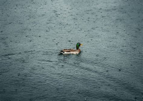 Mtb Wallpapers Photos Download The Best Free Mtb Wallpapers Stock