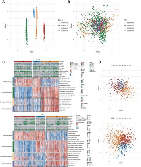 Dimensionality Reduction And Molecular Typing Of Multiple Datasets A