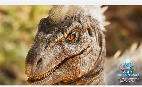 Create Meme Iguana Green Iguana Dinosaurs Pictures Meme