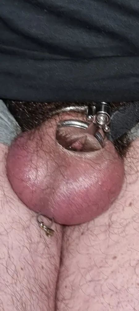 My New Chastity Cage After 2 Days 29 Nude Pics Xhamster