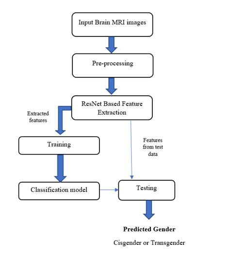 Neuroimaging Based Classification Of Cisgender And Transgender Individuals Using Mri Brain Scans