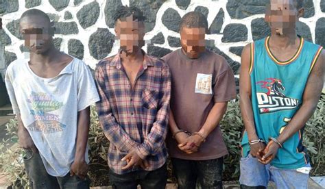 Ogun Police Arrest Four Suspected Cultists