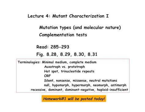 pdf lecture 4 mutant characterization i mutation types and