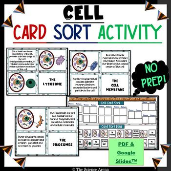 Cell Card Sort Febfun Science Card Sorting Activity On Cell Organelles