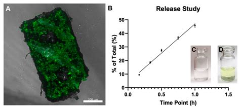 A Tumbling Magnetic Microrobot System For Biomedical Applications