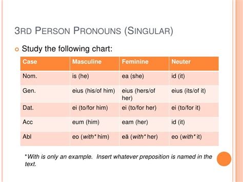 3rd Person Singular Pronouns